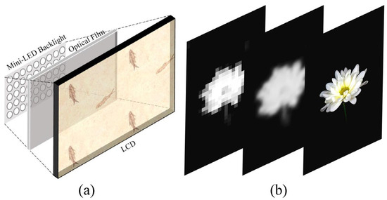 Mini-LED Backlight: Advances and Future Perspectives