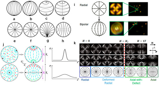 Progress and Prospect of Liquid Crystal Droplets