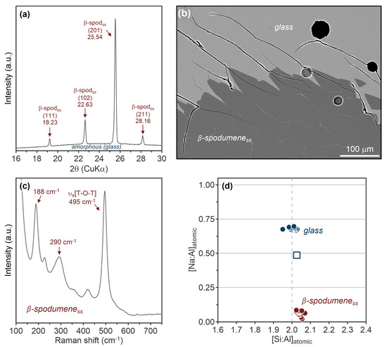 Investigating Exchange Efficiencies of Sodium and Magnesium to Access ...