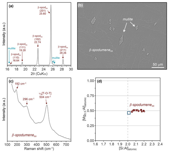 Investigating Exchange Efficiencies of Sodium and Magnesium to Access ...