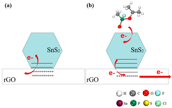 Highly Sensitive SnS2/rGO-Based Gas Sensor for Detecting Chemical ...