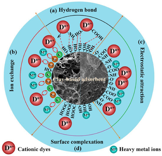 Clay-Based Materials for Heavy Metals Adsorption: Mechanisms ...