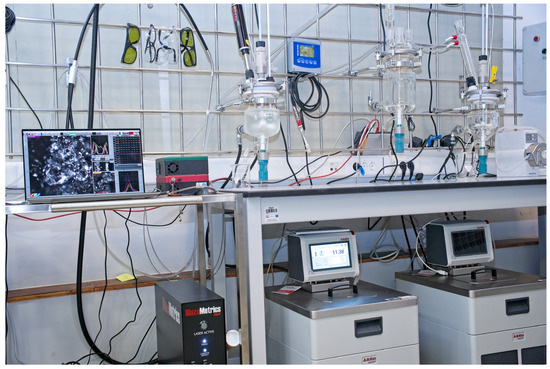 Batch Cooling Crystallization of a Model System Using Direct Nucleation ...