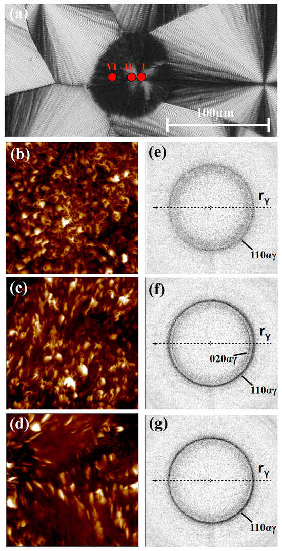Thermal Behavior, Local-Scale Morphology, and Phase Composition of ...