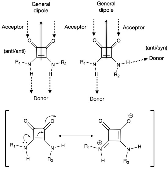 On the Importance of Squaramide and Squarate Derivatives as Metal ...