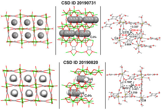 On the Importance of Squaramide and Squarate Derivatives as Metal ...