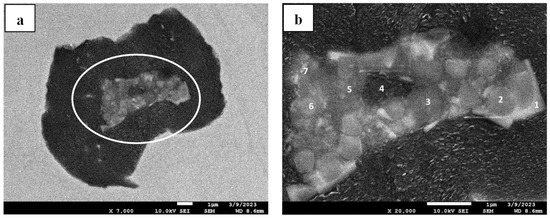 Revisiting the Relation Between Magnesium and Heterogeneous Nucleation ...