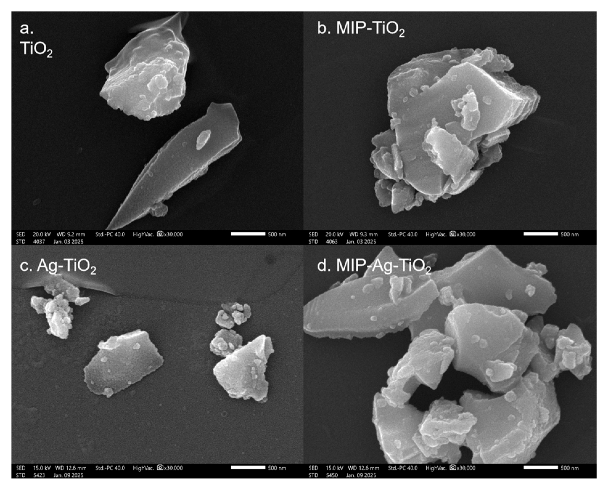 Innovative Dual-Functional Photocatalyst Design for Precision Water ...