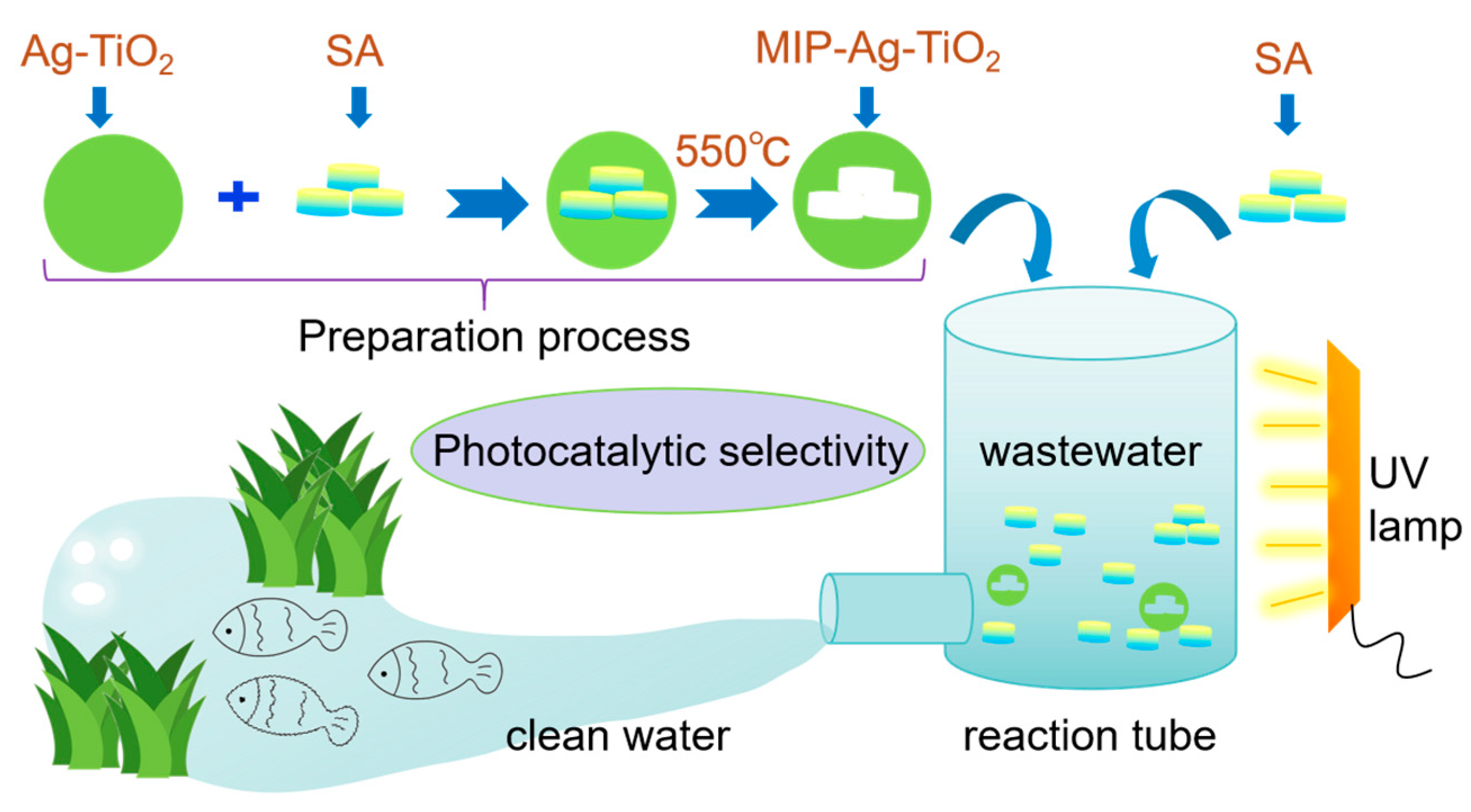 Innovative Dual-Functional Photocatalyst Design for Precision Water Remediation