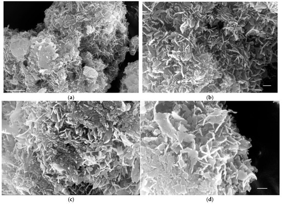 Crystal Growth and Dissolution of Hydroxyapatite: The Role of Ascorbic Acid
