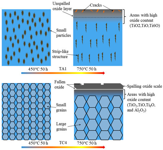 Analysis of High Temperature Oxidation Process and Mechanism of ...