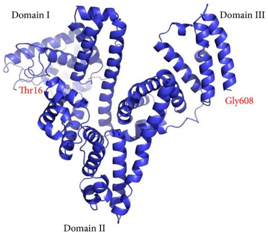 Hepatocellular Carcinoma, Alpha Fetoprotein, and Liver Allocation for ...