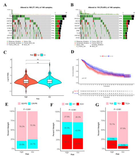 CircRNA-Based Cervical Cancer Prognosis Model, Immunological Validation ...