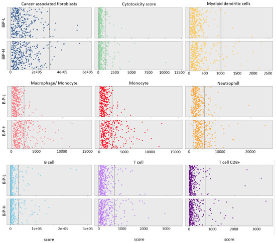 The Clinicopathological Significance of BiP/GRP-78 in Breast Cancer: A ...