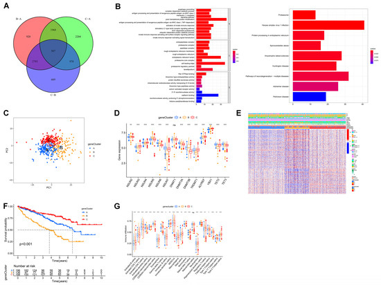 5-Methylcytosine (m5C) Modification Patterns and Tumor Immune ...