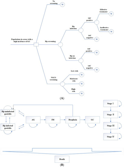 Cost-Effectiveness Analysis of Hp and New Gastric Cancer Screening Scoring System for Screening ...