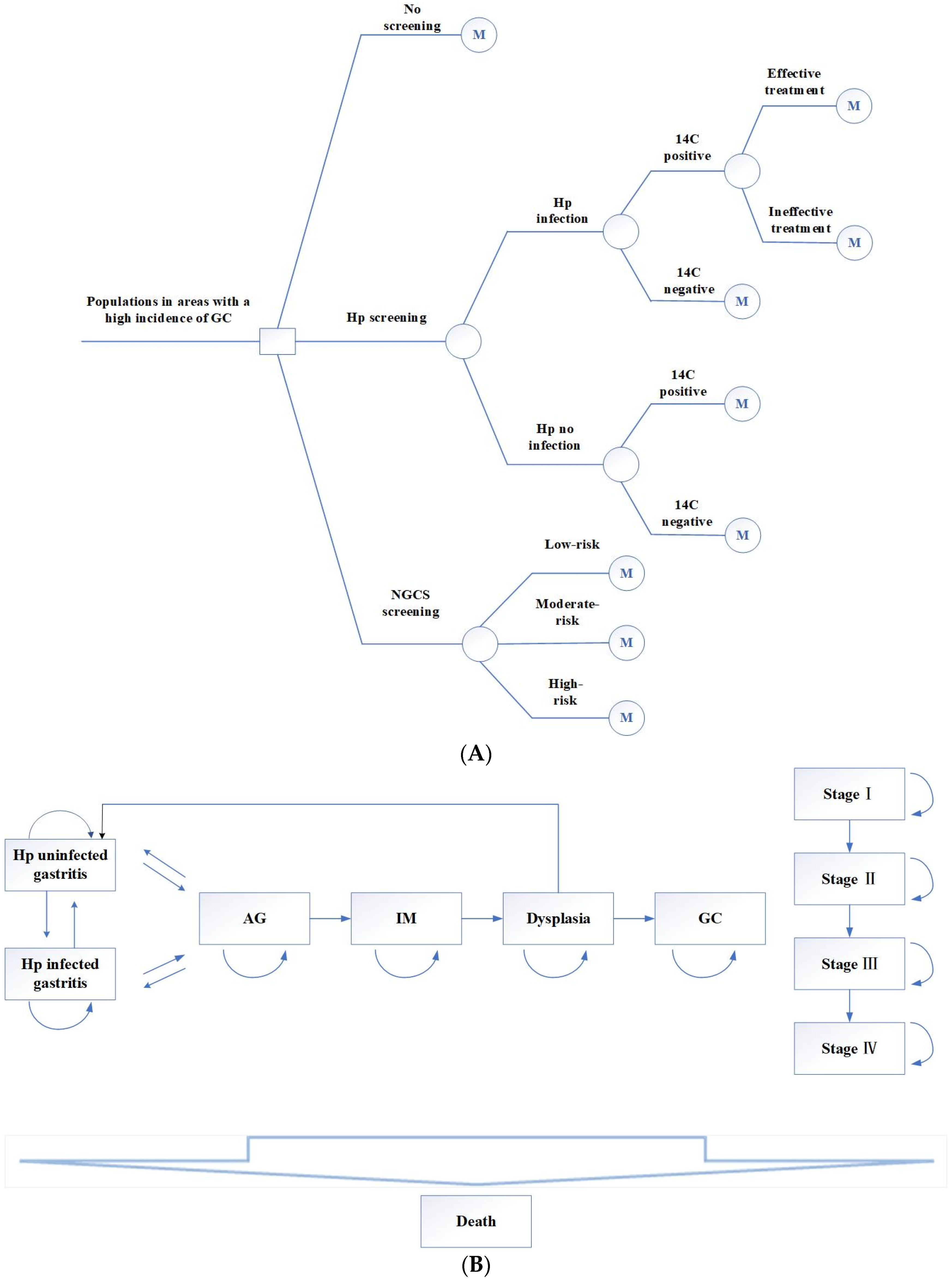 Cost-Effectiveness Analysis of Hp and New Gastric Cancer Screening ...
