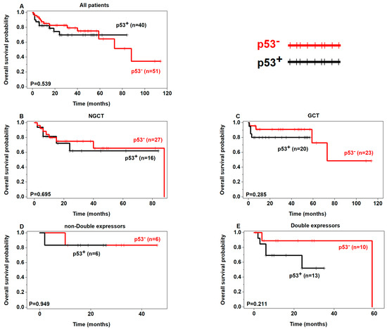 Current Oncology | Free Full-Text | Prognostic Significance of p53 and ...