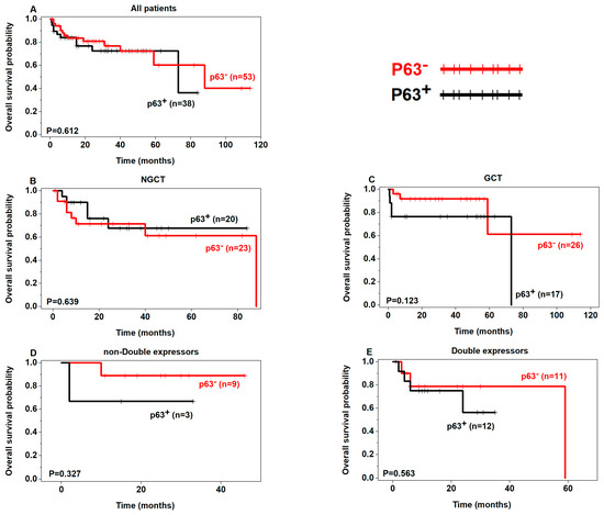 Current Oncology | Free Full-Text | Prognostic Significance of p53 and ...