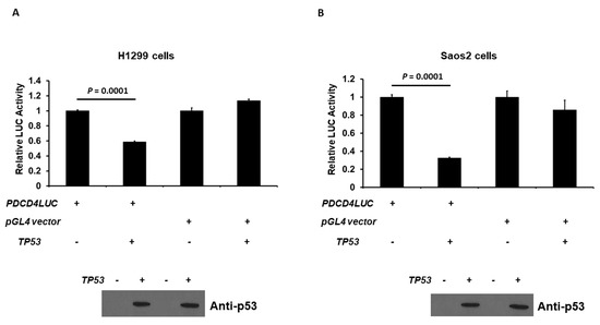 Tumor Suppressor p53 Down-Regulates Programmed Cell Death Protein 4 ...