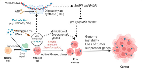 Current Oncology | Free Full-Text | Insight into Oncogenic Viral Pathways as Drivers of Viral ...
