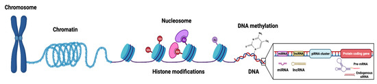 Lysine-Specific Demethylase 1 (LSD1)-Mediated Epigenetic Modification ...