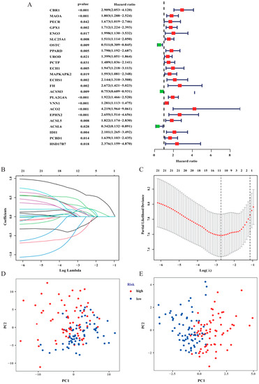 A Novel Fatty Acid Metabolism-Associated Risk Model for Prognosis Prediction in Acute Myeloid ...