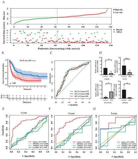 A Novel Fatty Acid Metabolism-Associated Risk Model for Prognosis Prediction in Acute Myeloid ...