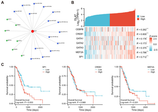 Cuproptosis-Related Gene DLAT as a Novel Biomarker Correlated with ...