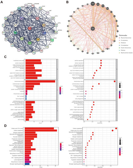 Cuproptosis-Related Gene DLAT as a Novel Biomarker Correlated with ... Cuproptosis-Related Gene DLAT as a Novel Biomarker Correlated with ...