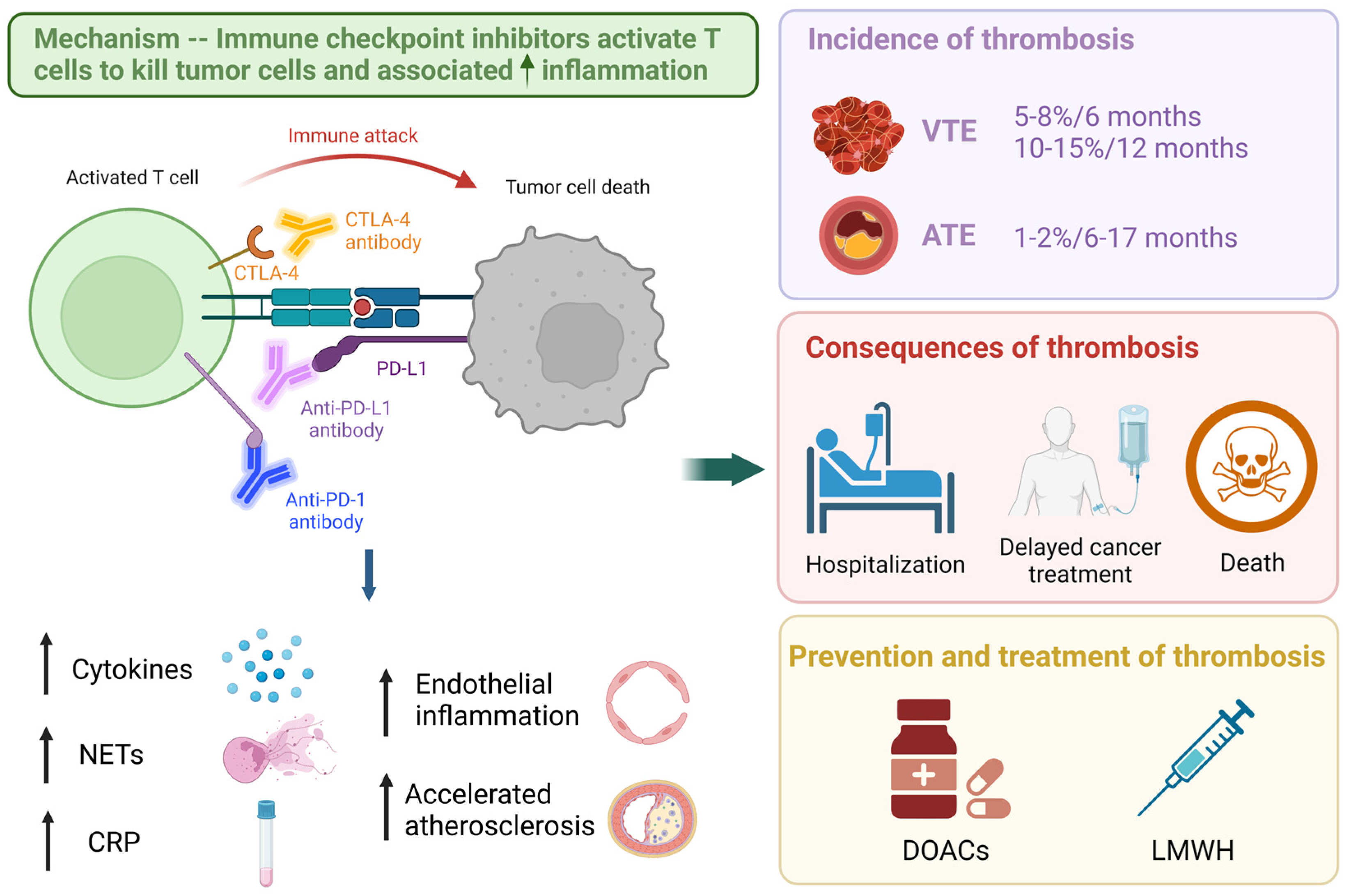 Current Oncology Free Full Text Immune Checkpoint Inhibitors