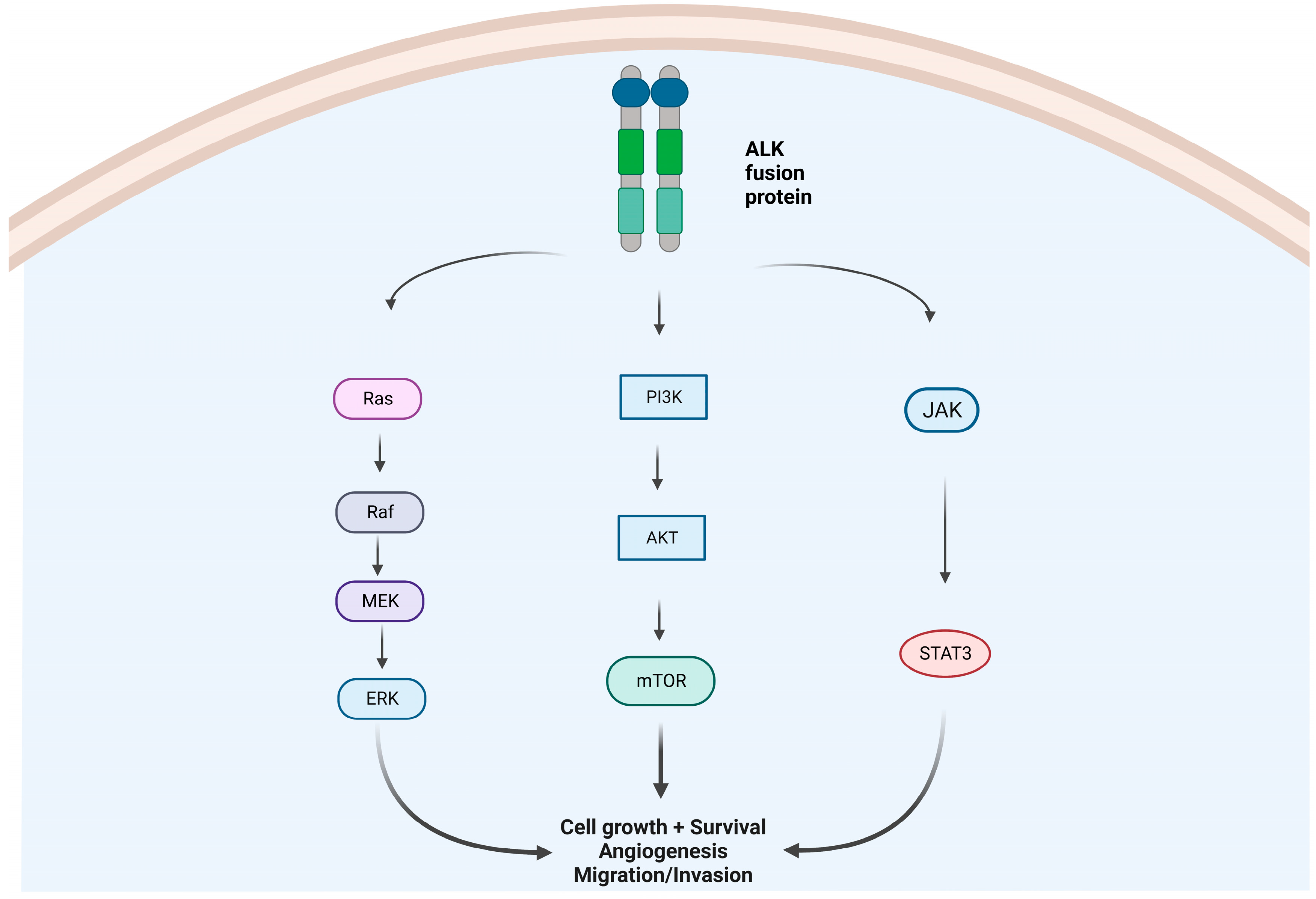 Sustained Improvement in the Management of Patients with Non-Small-Cell Lung Cancer (NSCLC ...