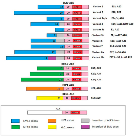 Sustained Improvement in the Management of Patients with Non-Small-Cell ...