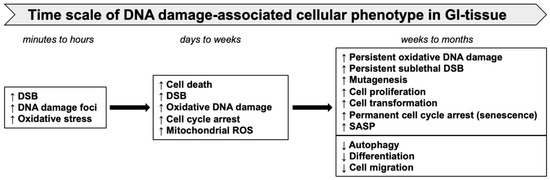 High-LET-Radiation-Induced Persistent DNA Damage Response Signaling and ...