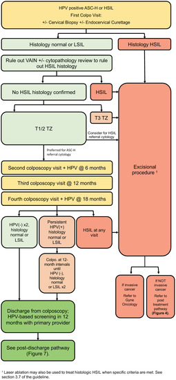 2023 Canadian Colposcopy Guideline: A Risk-Based Approach to Management ...