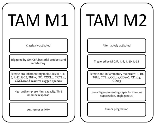 Current Oncology | Free Full-Text | Tumor-Associated Macrophages in ...