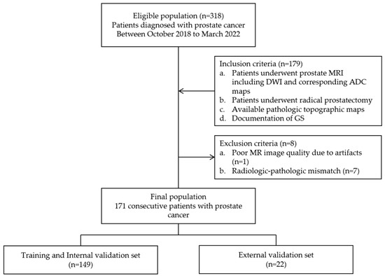 Deep Learning Algorithm for Tumor Segmentation and Discrimination of ...