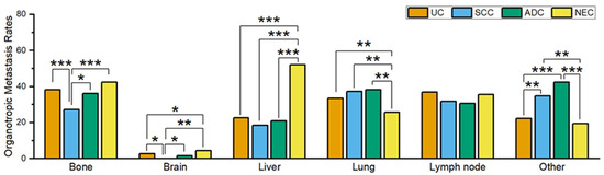 Do Histology and Primary Tumor Location Influence Metastatic Patterns ...
