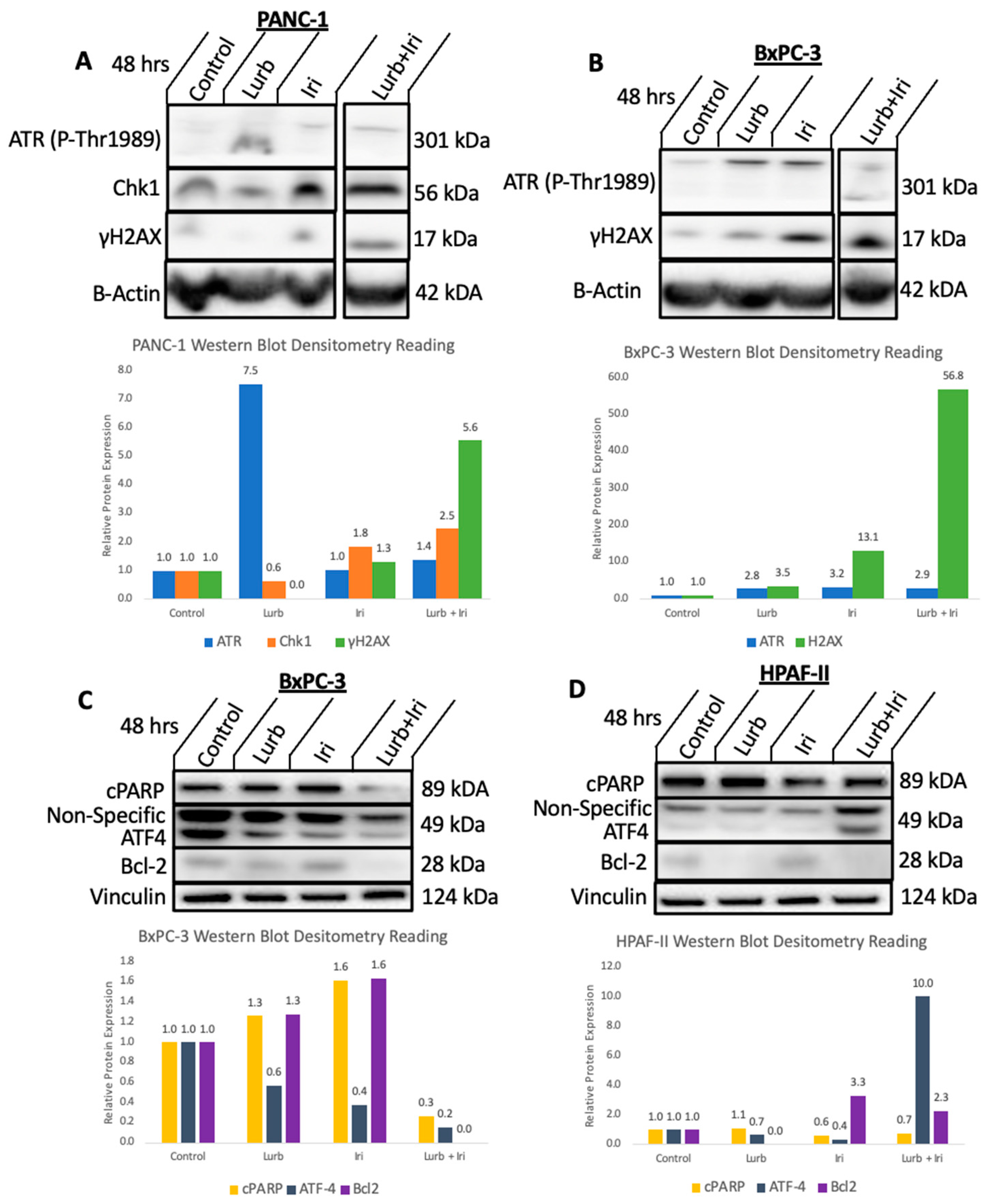 Preclinical Synergistic Combination Therapy of Lurbinectedin with ...
