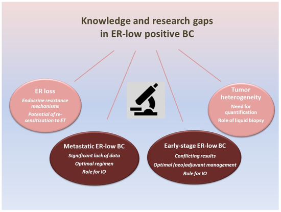 Estrogen-Receptor-Low-Positive Breast Cancer: Pathological and Clinical ...