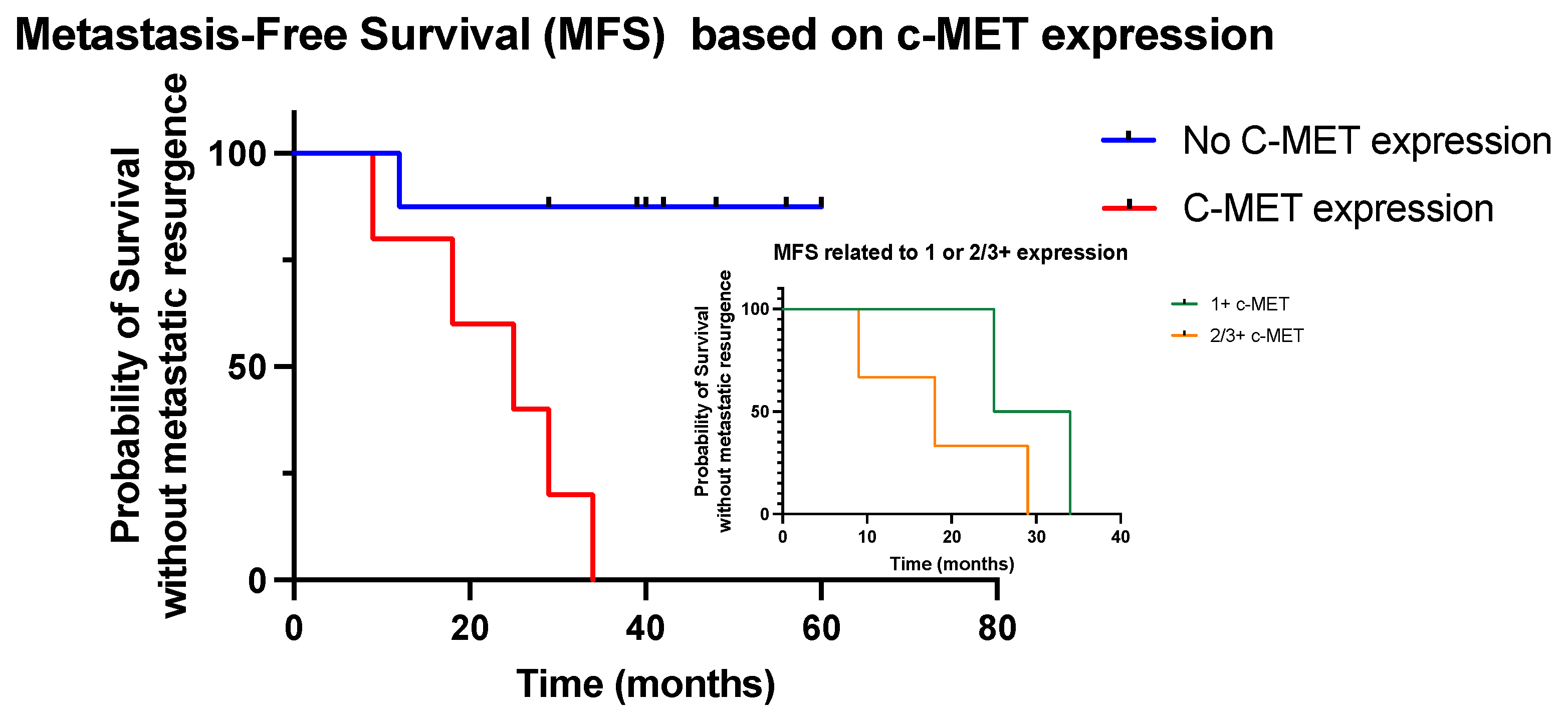 The Role of c-MET as a Biomarker in Patients with Bladder Cancer ...