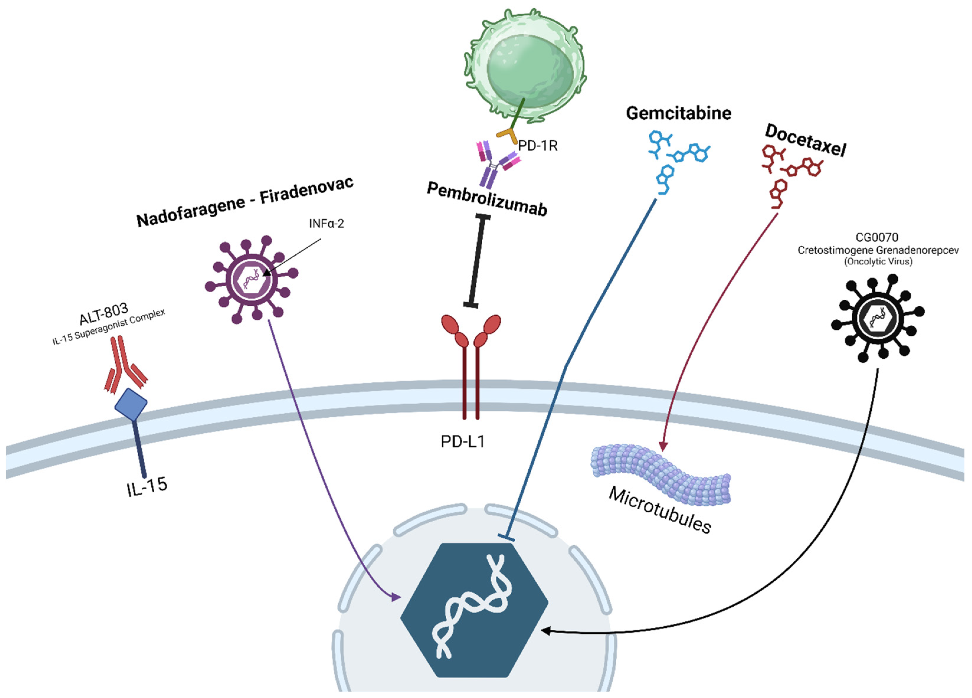 BCG and Alternative Therapies to BCG Therapy for Non-Muscle-Invasive Bladder Cancer