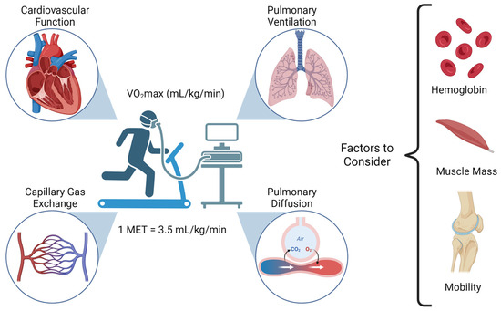 Prehabilitation in Adults Undergoing Cancer Surgery: A Comprehensive Review on Rationale ...