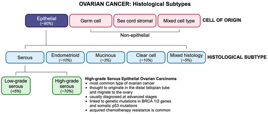 Current Oncology | Free Full-Text | The Complex Tumor Microenvironment ...