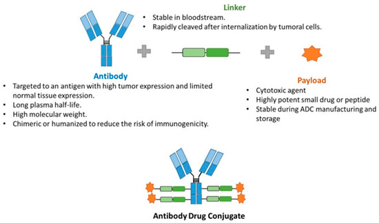 Antibody–Drug Conjugates: A Start of a New Era in Gynecological Cancers