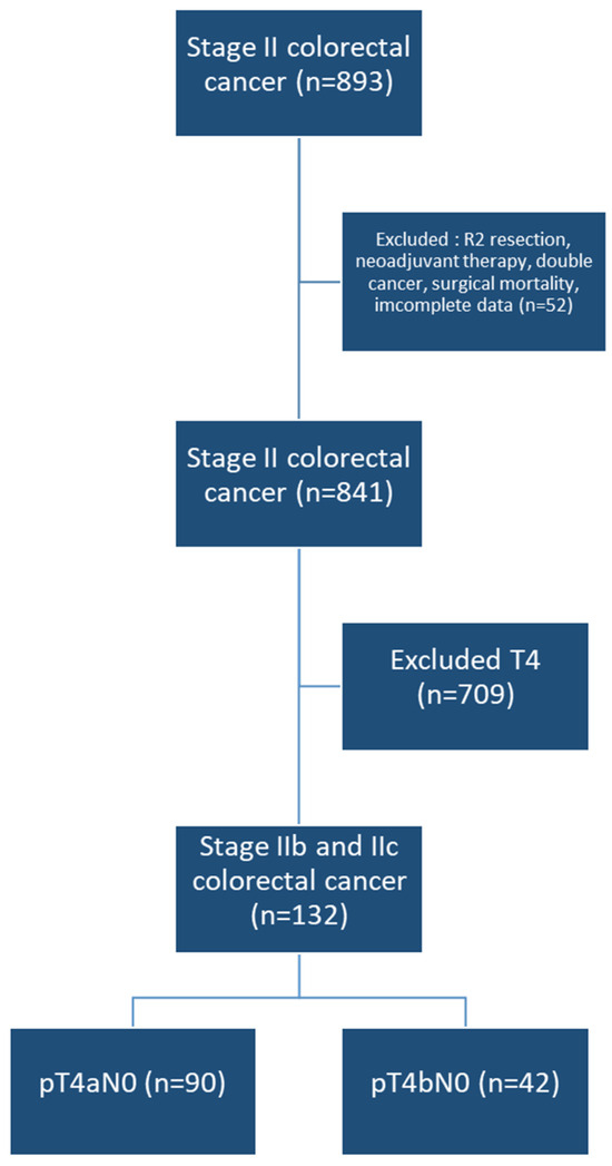 The Clinical Characteristics of a Stage II Colorectal Cancer T4 Tumor ...