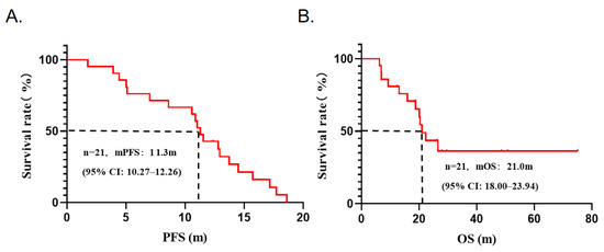 First-Line Pyrotinib Combination Therapy for HER2-Mutated Advanced ...