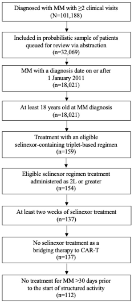 Real-World Treatment Patterns and Survival Outcomes of Patients with Relapsed/Refractory ...