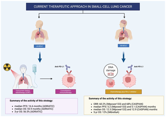 Bridging Knowledge Gaps in Small Cell Lung Cancer: Data, Challenges and ...