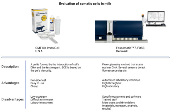 Mastitis: What It Is, Current Diagnostics, and the Potential of ...